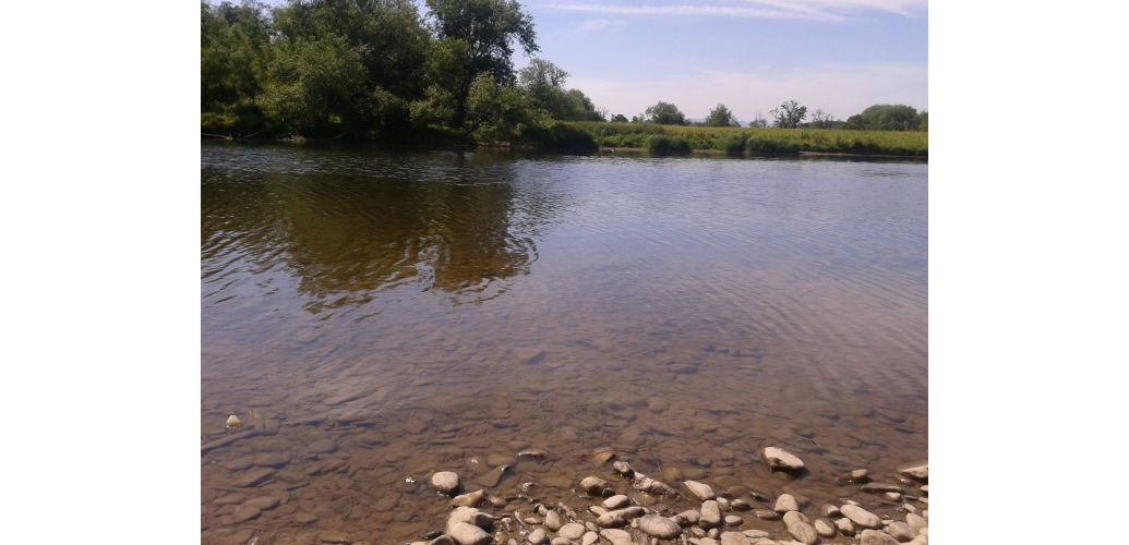 Fishing on the River Wye UK - Best Spots, Species & Conservation ...