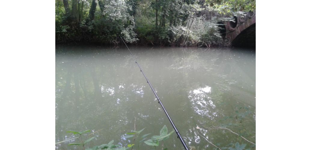 Showcasing Rivers - River Lugg, Leominster