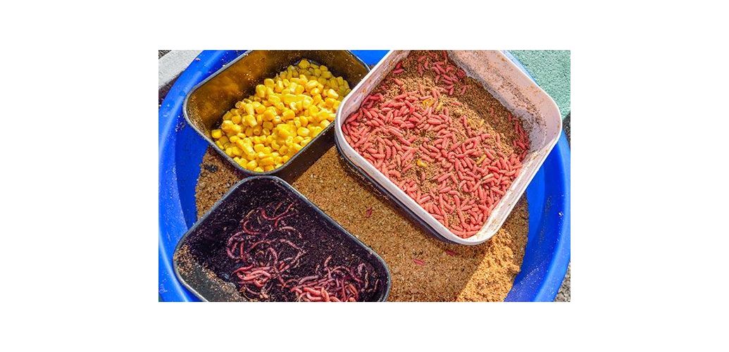 Top 10 Coarse Fishing Baits UK - Natural & Man-Made Favourites | Big ...