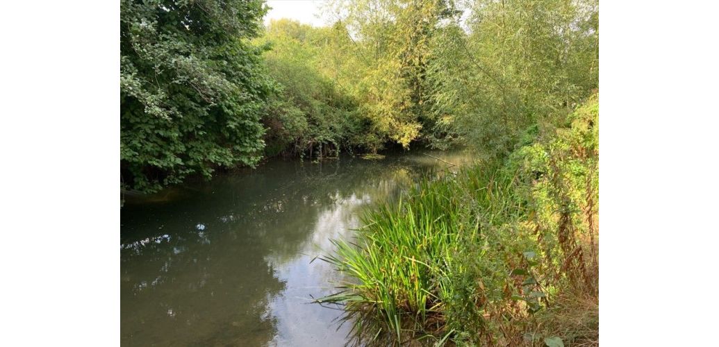 River Fishing Close Season UK - Protecting Coarse Fish & Exploring Game ...