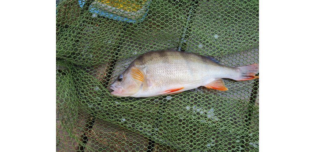 Fishing on the River Severn, the longest river in the UK!